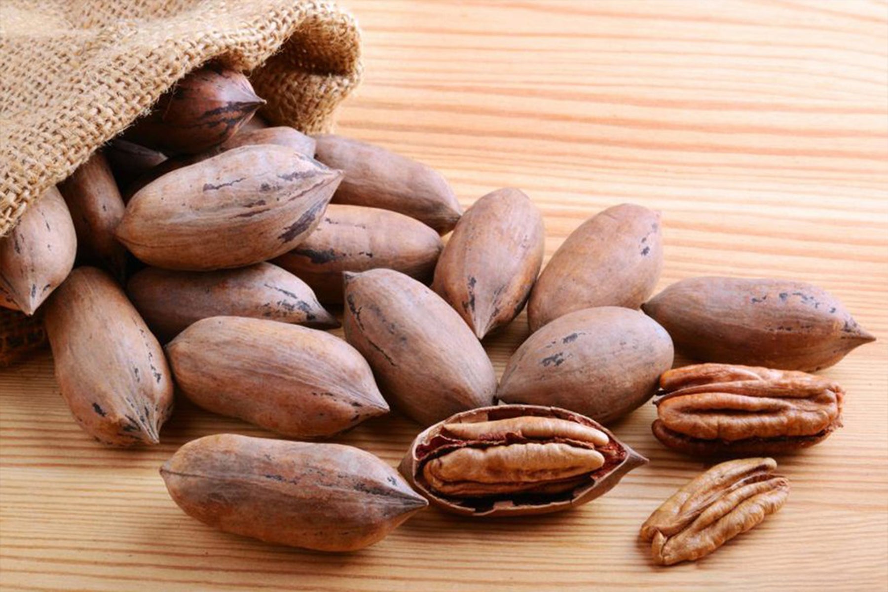 Answers To Frequently Asked Questions About Pecans – Bare Root Trees ...