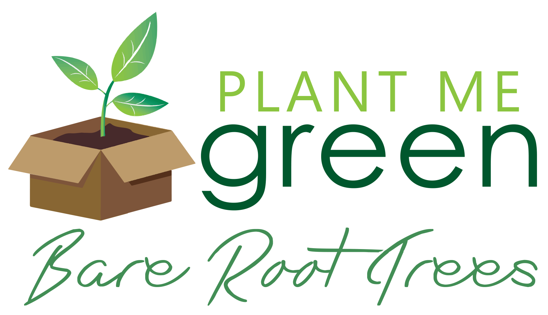 Bare Root Trees Plant Me Green – Bare Root Trees - Plant Me Green